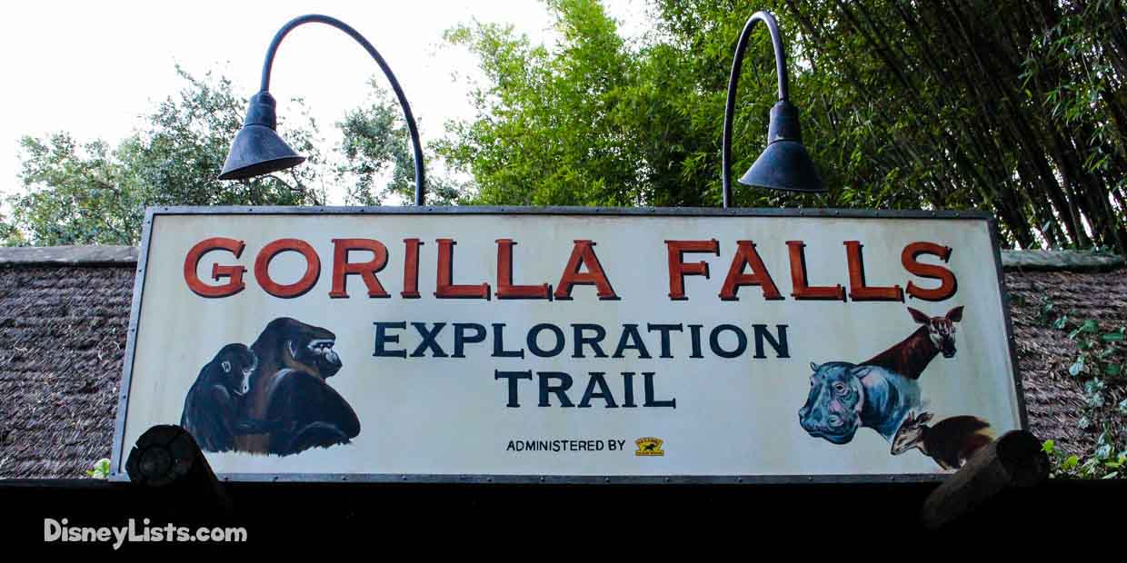 Discover Gorilla Falls Exploration Trail in Disney’s Animal Kingdom ...