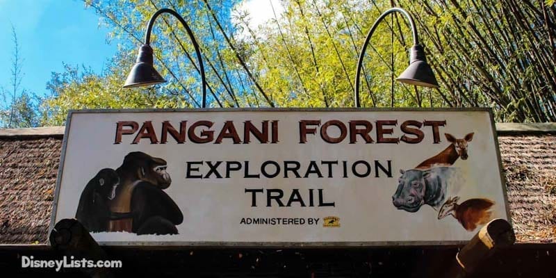 Featured-Pangani Forest-2 – DisneyLists.com