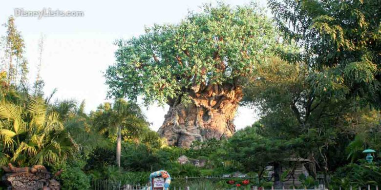 7 Facts & Secrets About The Tree of Life – DisneyLists.com