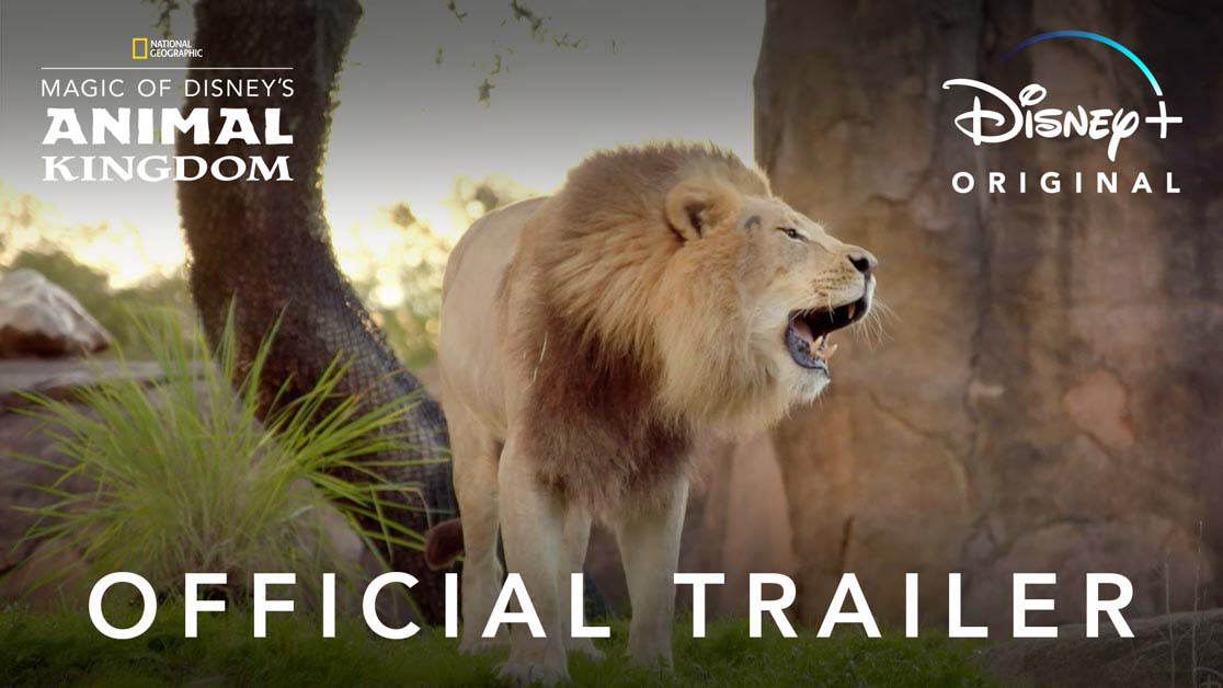 NEWS: Disney+ Releases Official Trailer for Magic of Disney's Animal ...