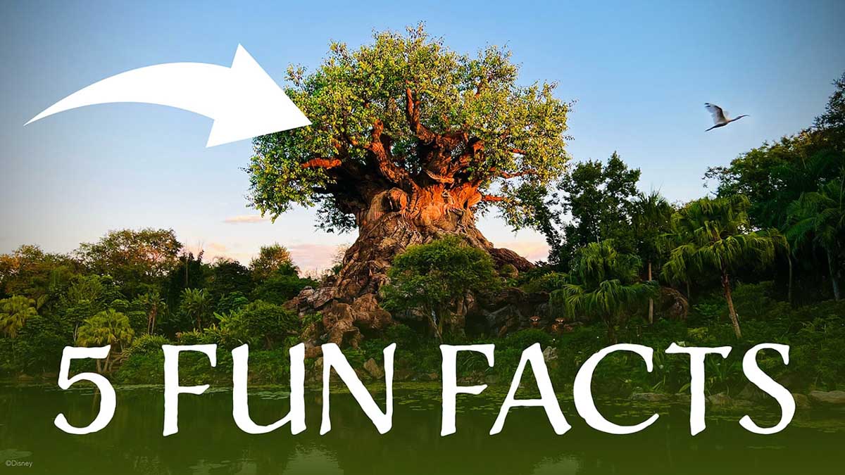 5 Wild Stats About Disney Conservation & Animal Care – DisneyLists.com