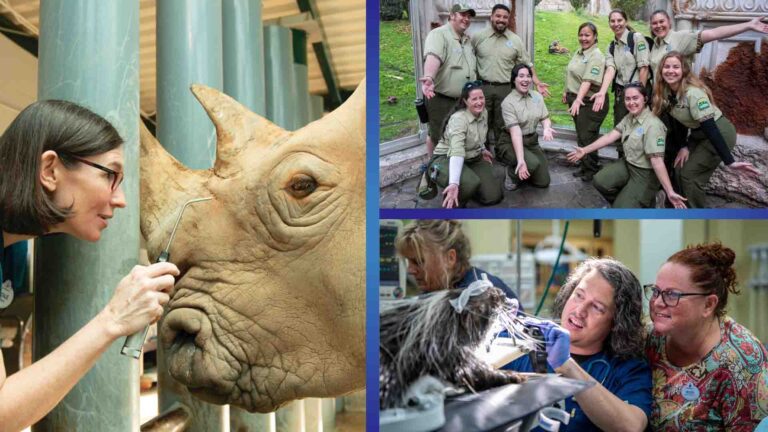 NEWS: Disney Provided Behind the Scenes Look at Animal Care at Animal ...